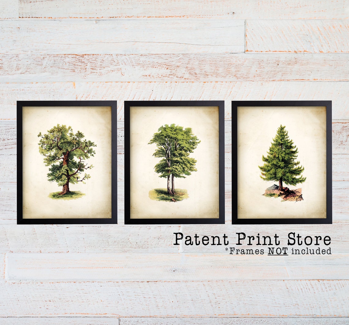Vintage Tree Art Print Set. Tree Prints. Tree Wall Art. Green - Etsy