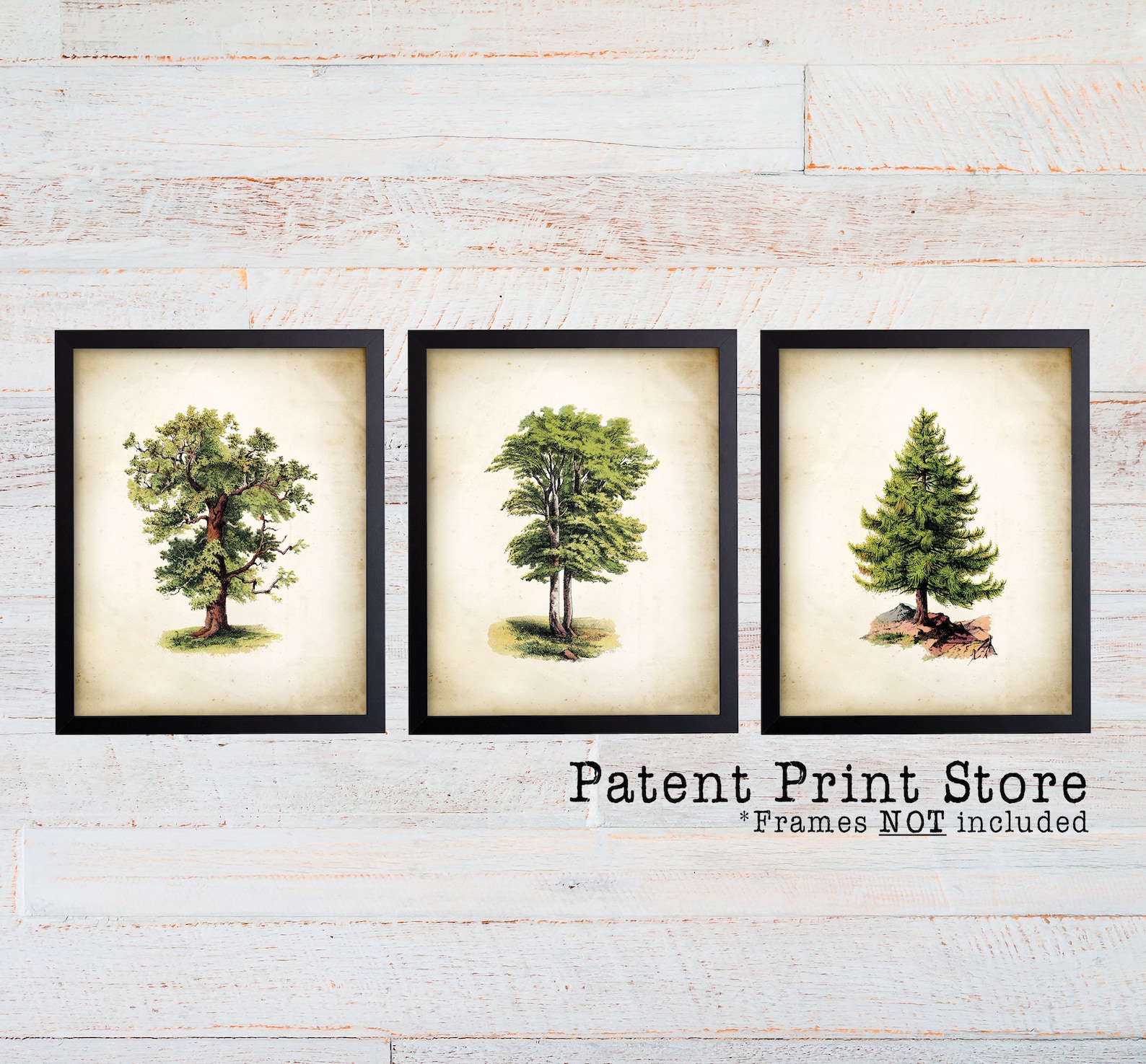 Vintage Tree Art Print Set. Tree Prints. Tree Wall Art. Green - Etsy
