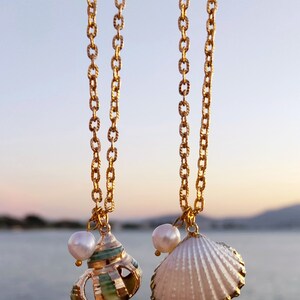 White Shell Chain Necklace Aesthetic Real Seashell Pendant - Etsy