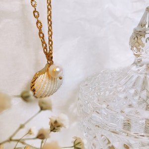 White Shell Chain Necklace Aesthetic Real Seashell Pendant - Etsy