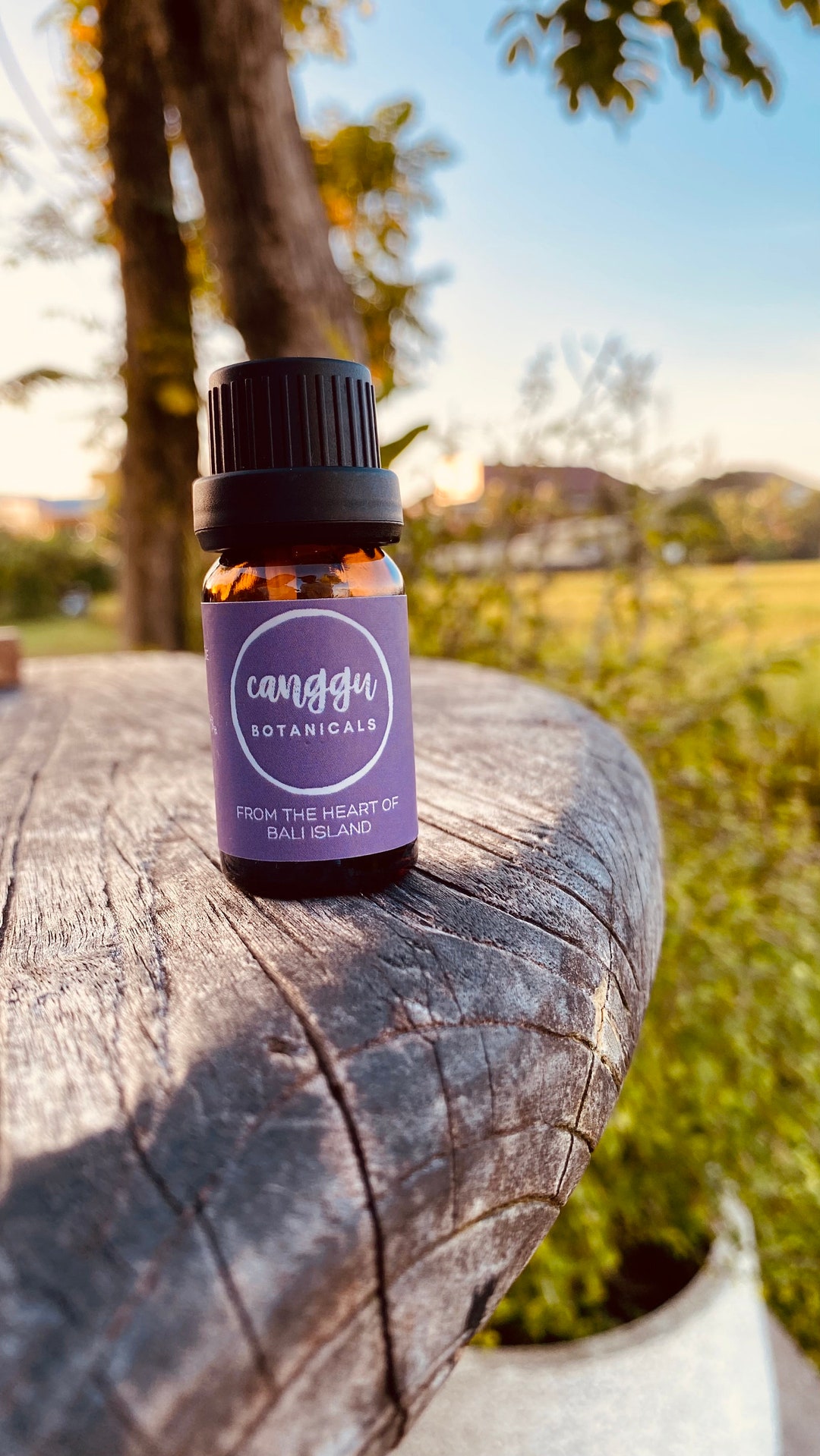 Grazia Set of 8 Essential Oil Wedding Favors Gifts Interior Design ...