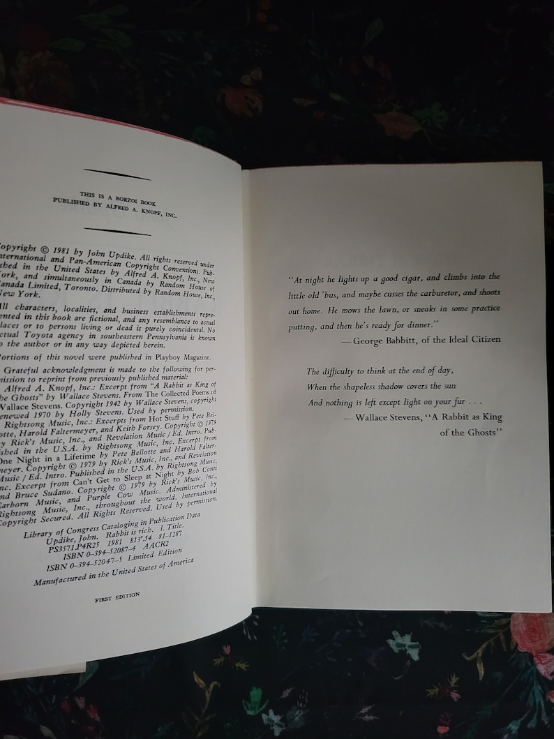 Rabbit is Rich by John Updike, 1981 - Etsy