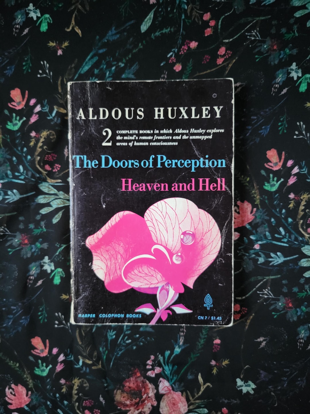 The Doors of Perception/heaven and Hell by Aldous Huxley, 1963 - Etsy