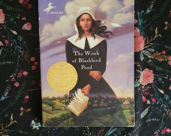 The Witch of Blackbird Pond by Elizabeth George Speare, 1987 - Etsy
