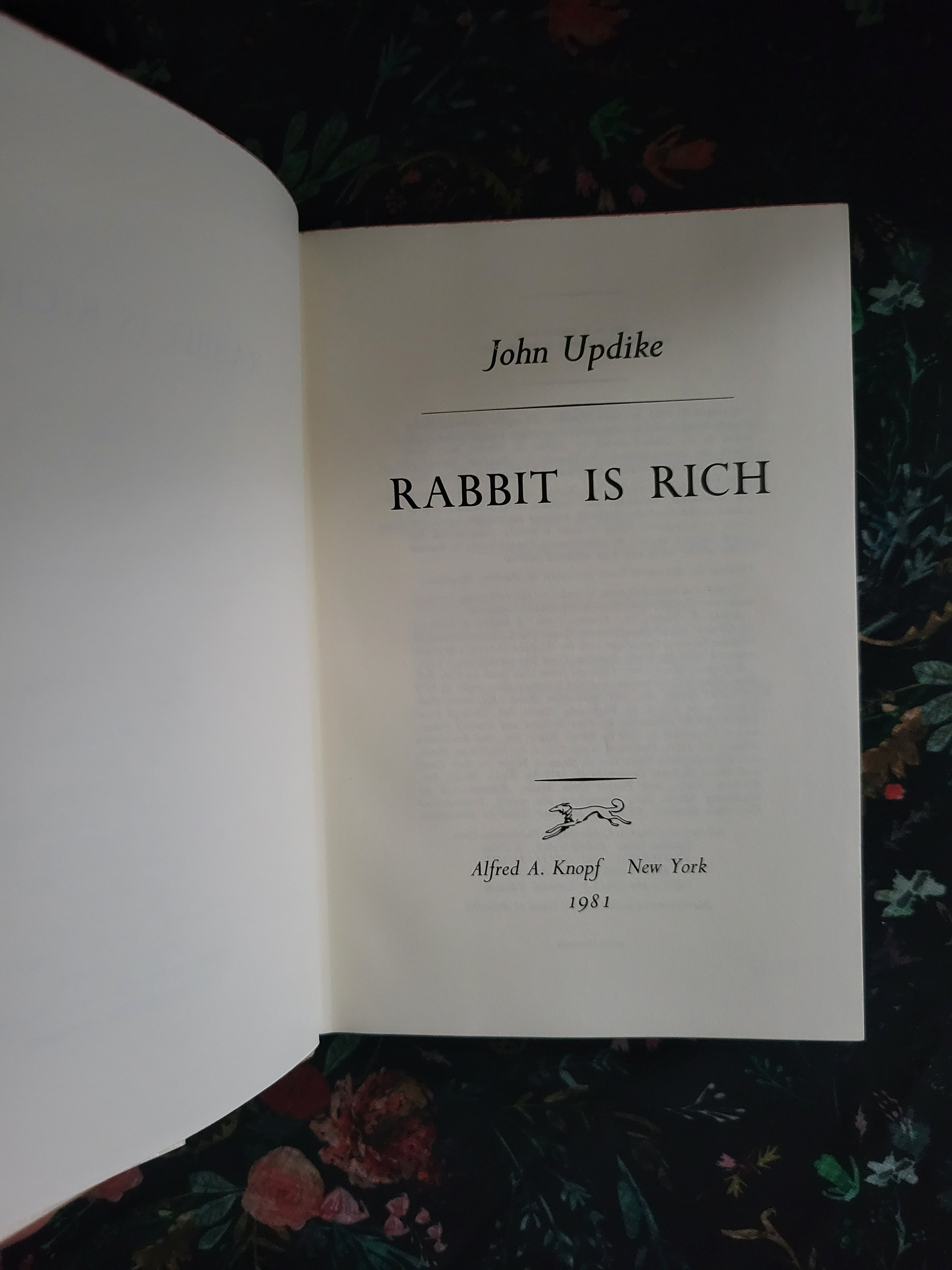Rabbit is Rich by John Updike, 1981 - Etsy