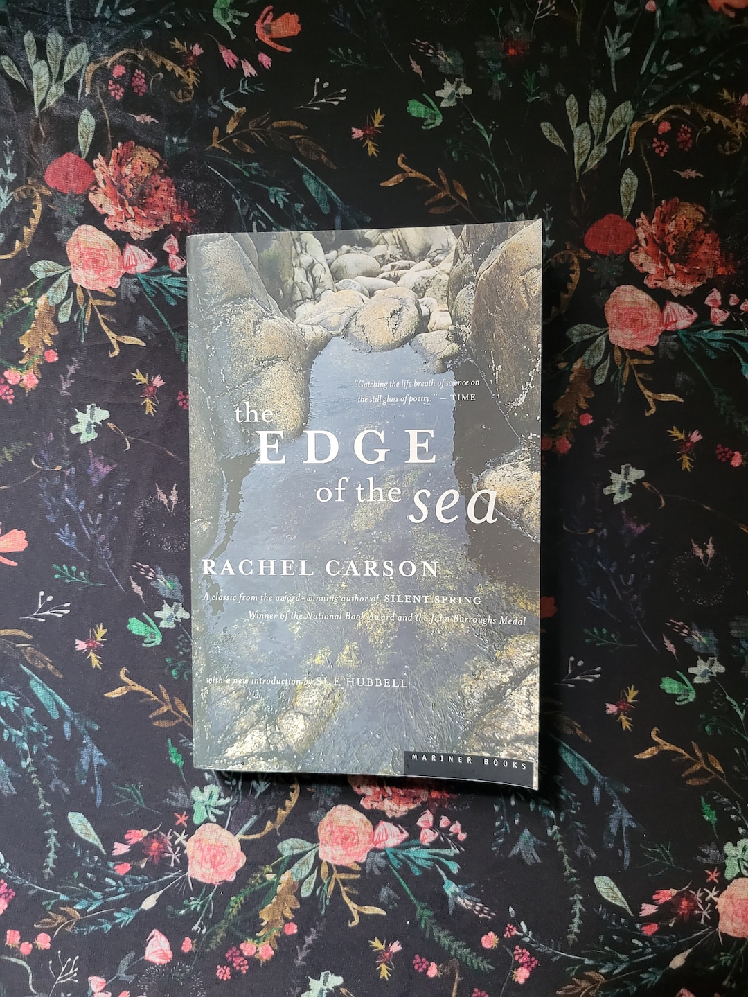 The Edge of the Sea by Rachel Carson, 1998 - Etsy