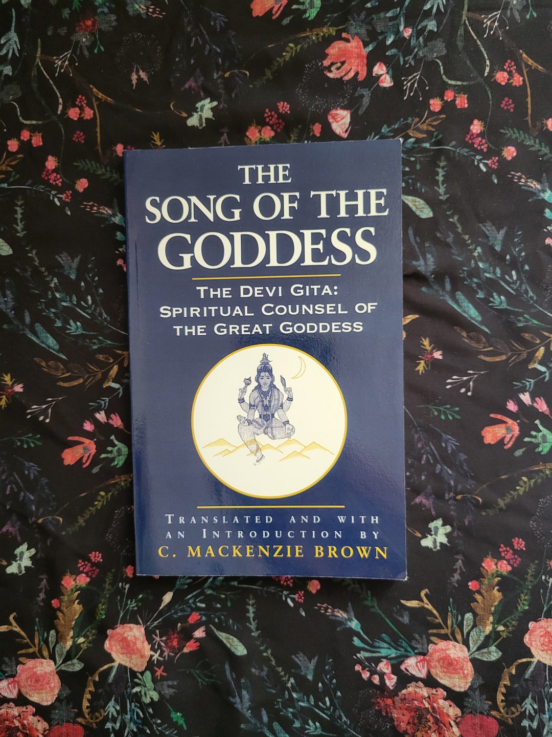 The Song of the Goddess: the Devi Gita, 2002 - Etsy