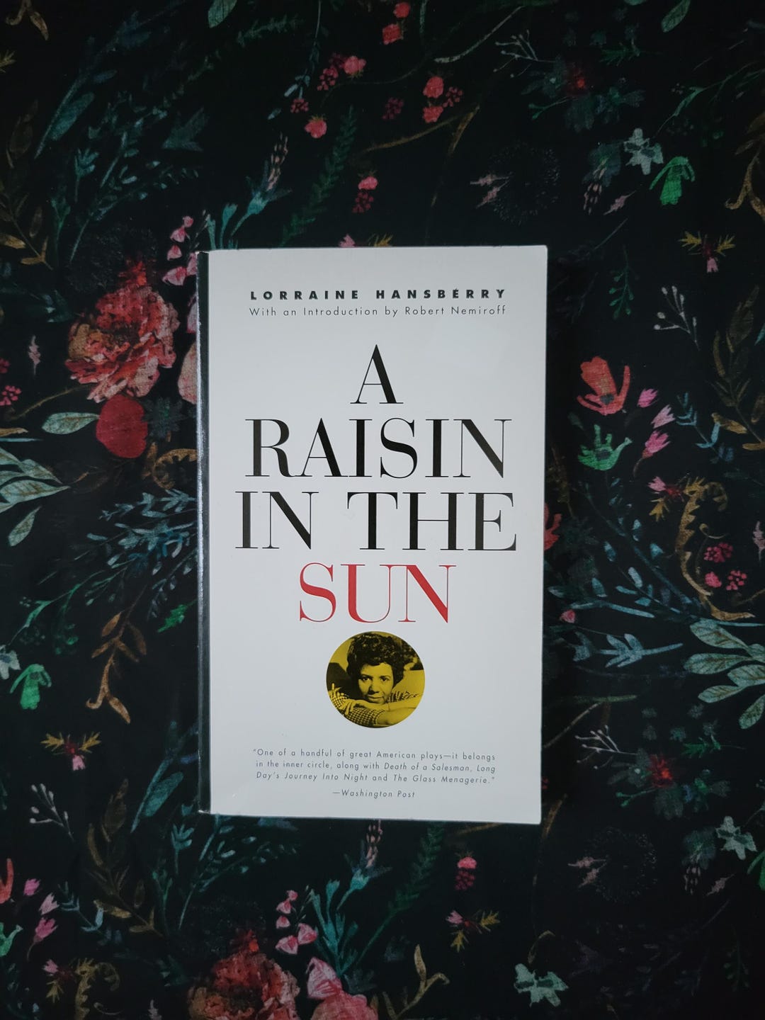 A Raisin in the Sun by Lorraine Hansberry, 1994 - Etsy