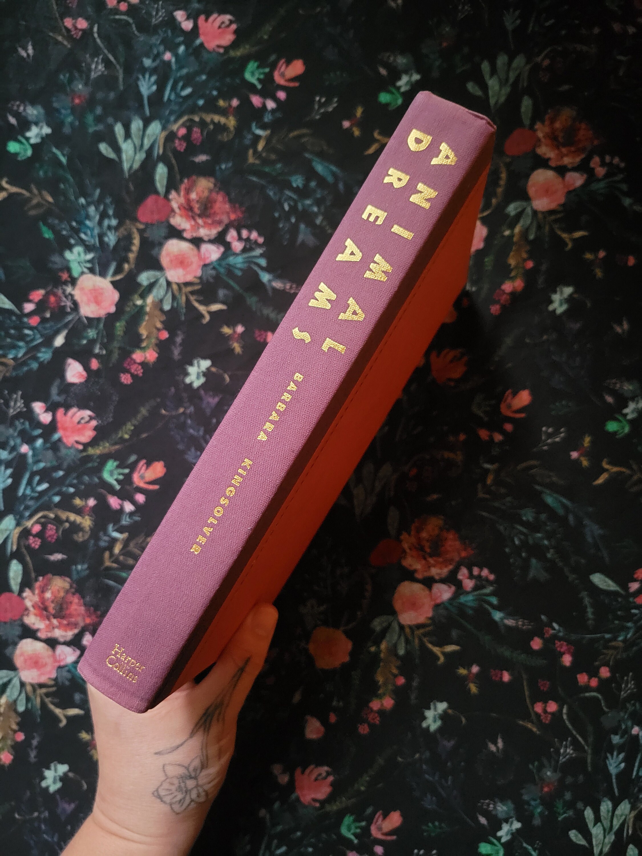 Animal Dreams by Barbara Kingsolver, 1990 - Etsy