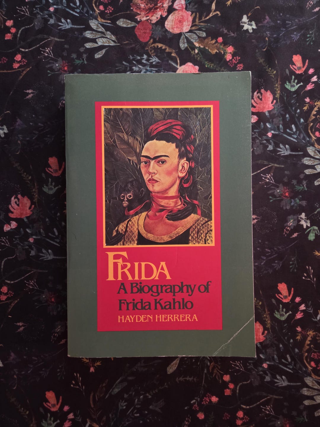 Frida: A Biography of Frida Kahlo by Hayden Herrera, 2002 - Etsy