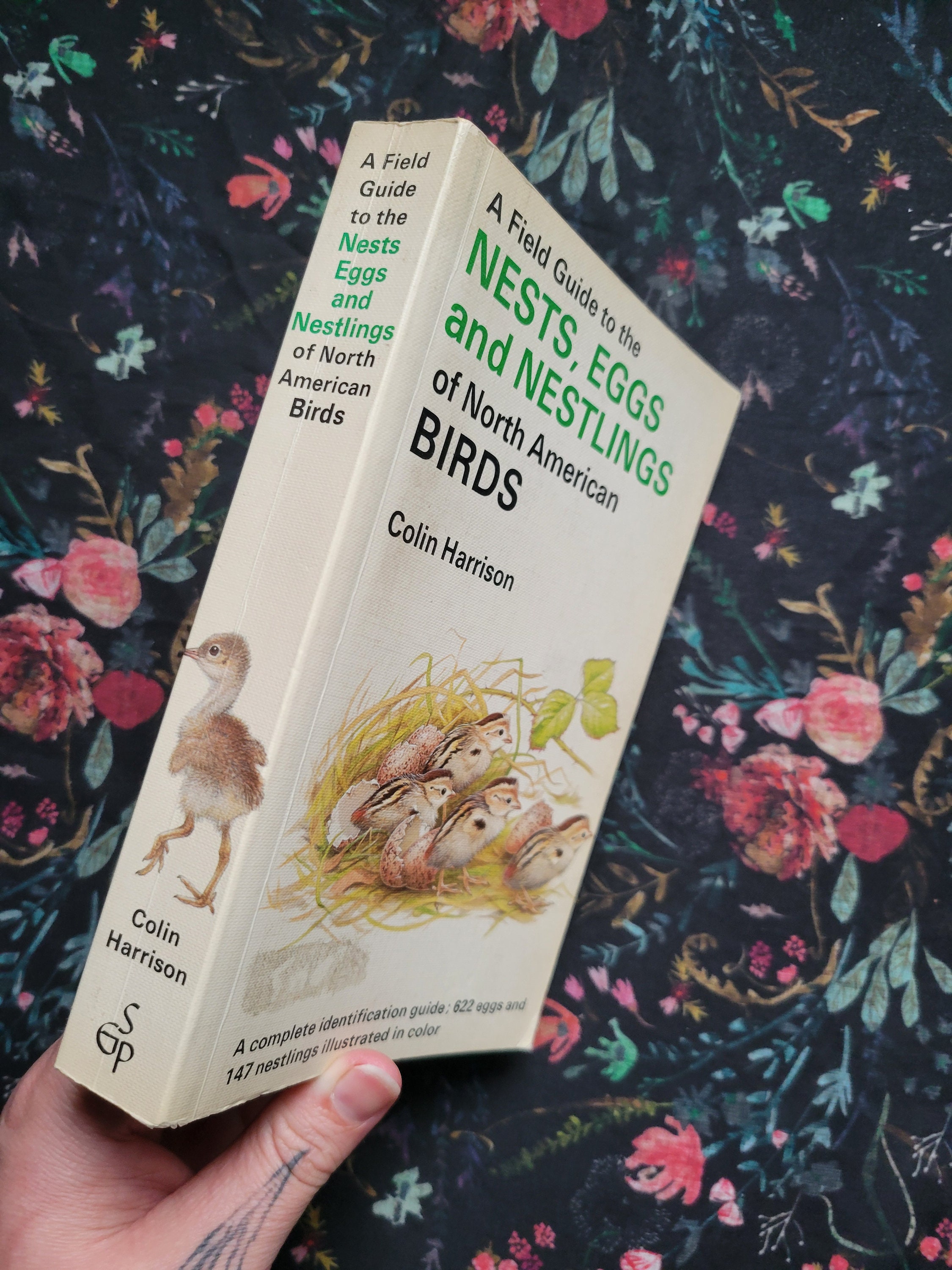 Vintage Bird Nesting Guide, Colin Harrison, 1987 - Etsy