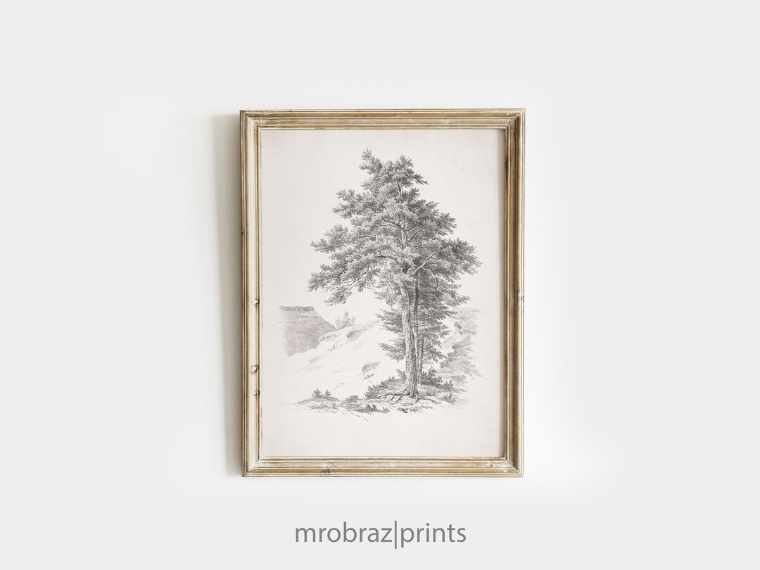 Vintage Tree Sketch, Tree Printable Art, Vintage Art Print, Neutral ...