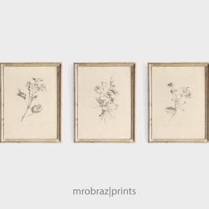 Vintage Botanical Triptych Print Set of 3 | Antique Flower Sketch | French Farmhouse | 3 Piece ...
