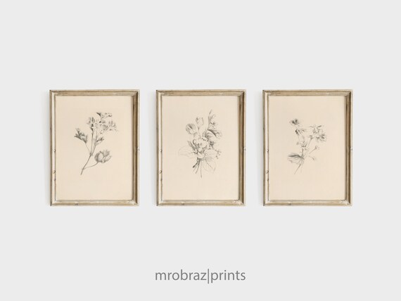 Vintage Botanical Triptych Print Set of 3 Antique Flower - Etsy