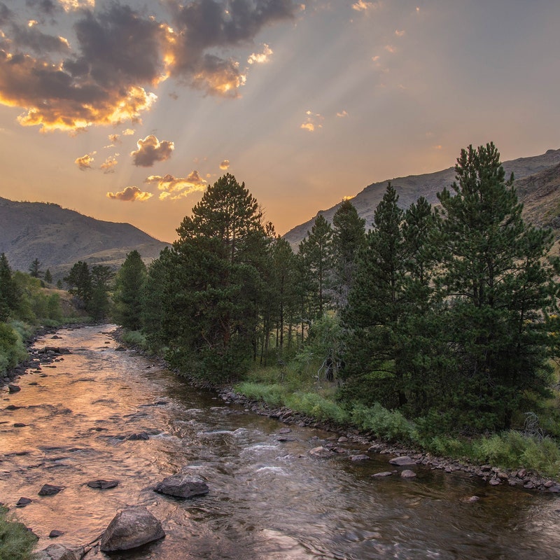 RootsStudioPhoto - Etsy