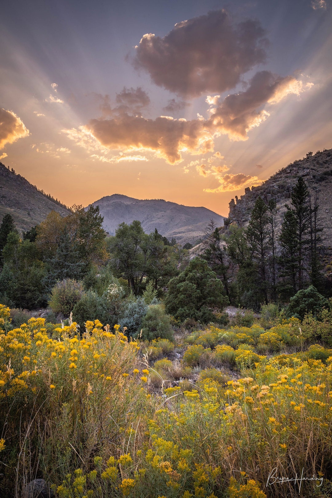 Poudre Canyon Photo, Fort Collins, Larimer County, Cache La Poudre ...