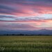 Colorado Mountain Sunset, Front Range Photography, Agriculture ...