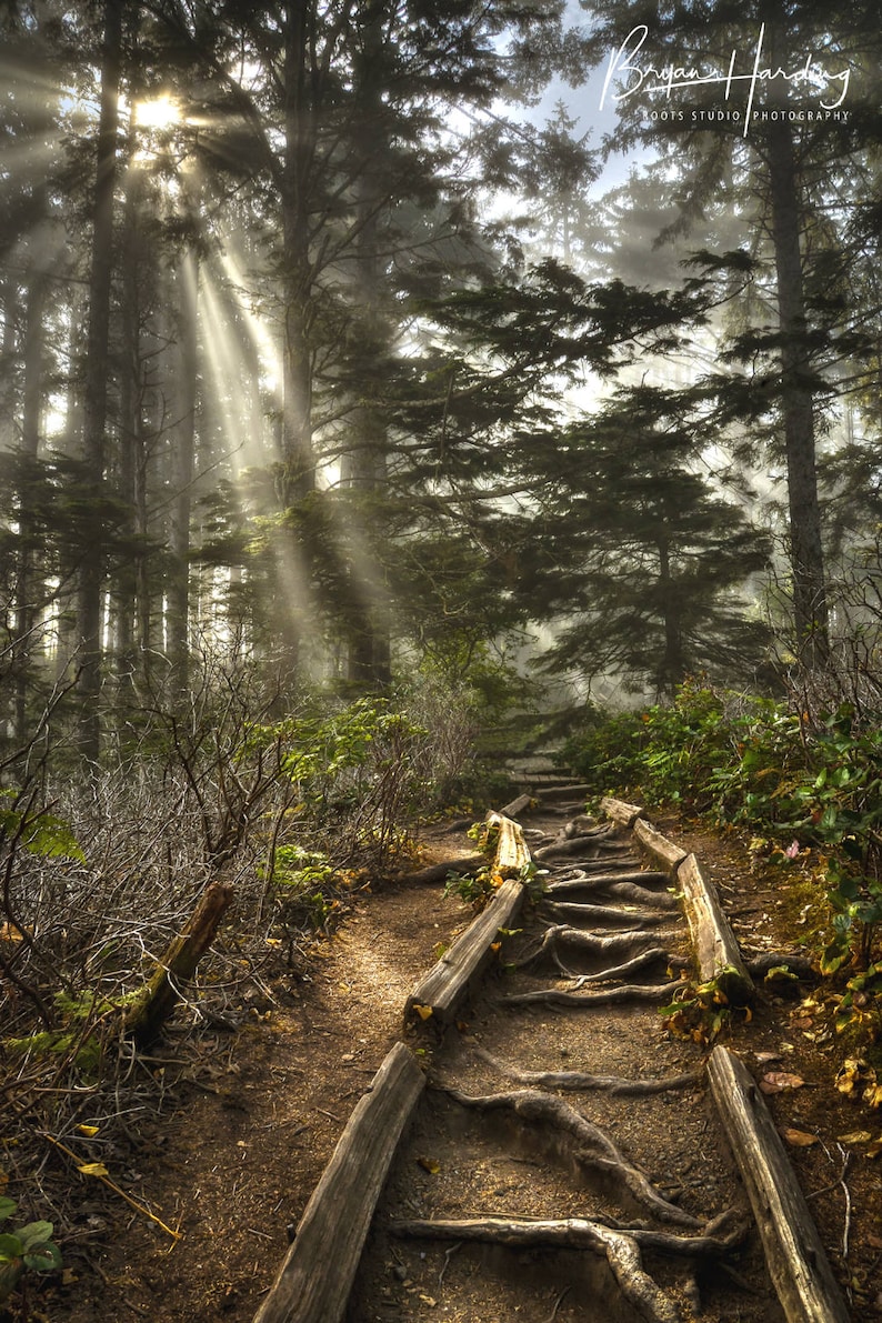 Washington Photography Cape Flattery Nature Photo Pacific - Etsy