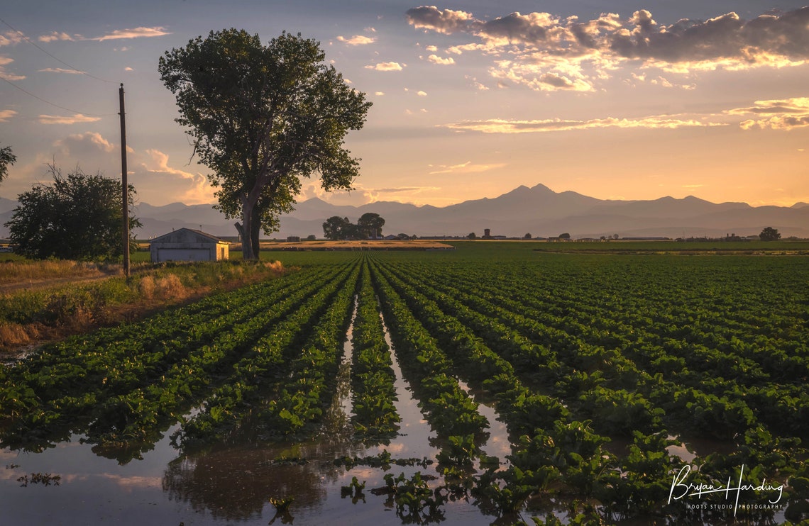 Colorado agriculture Front Range Colorado photography farm | Etsy