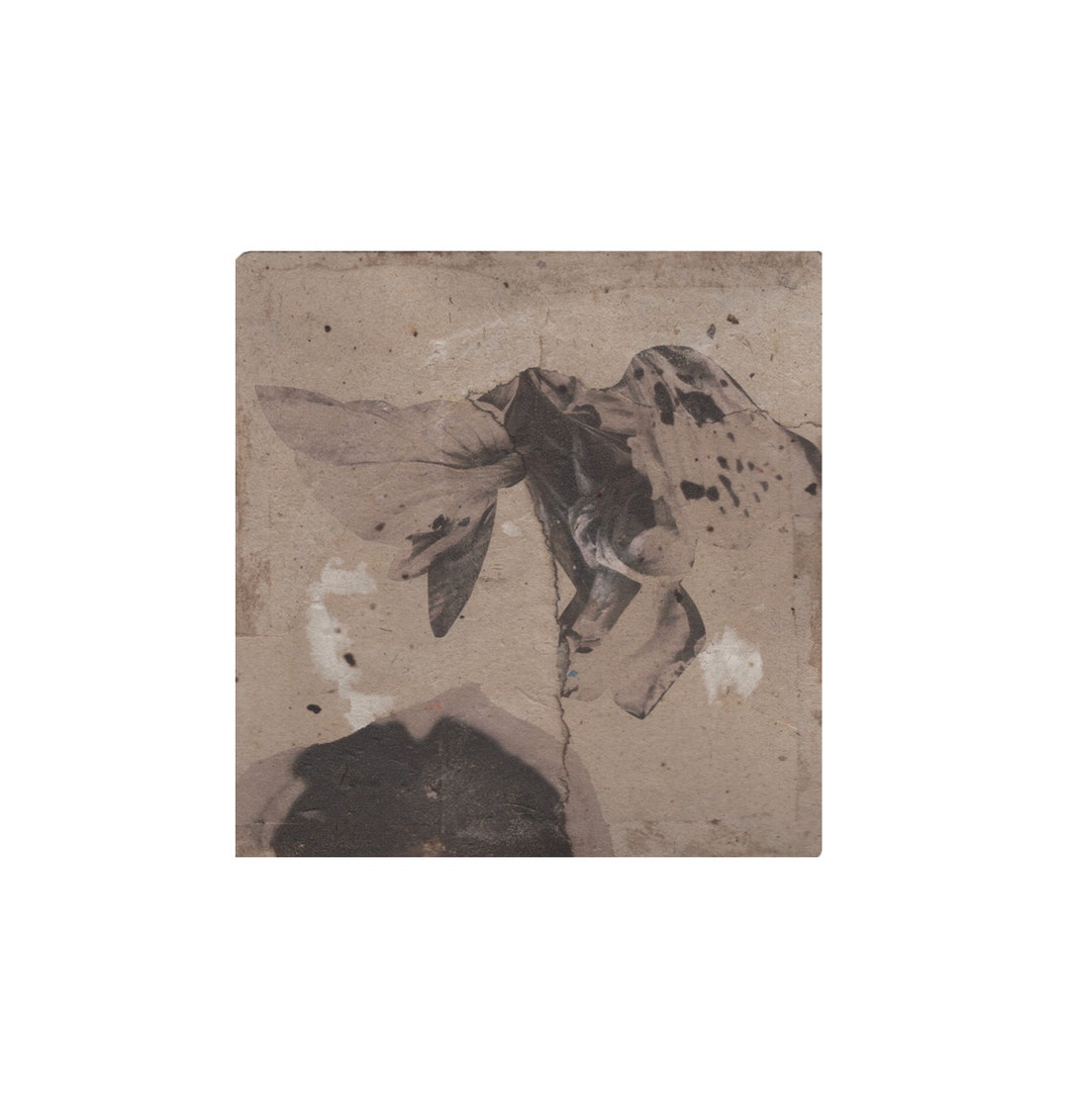 Analog Print on Vintage Cardboard, Abstract Art Original, Minimalist ...