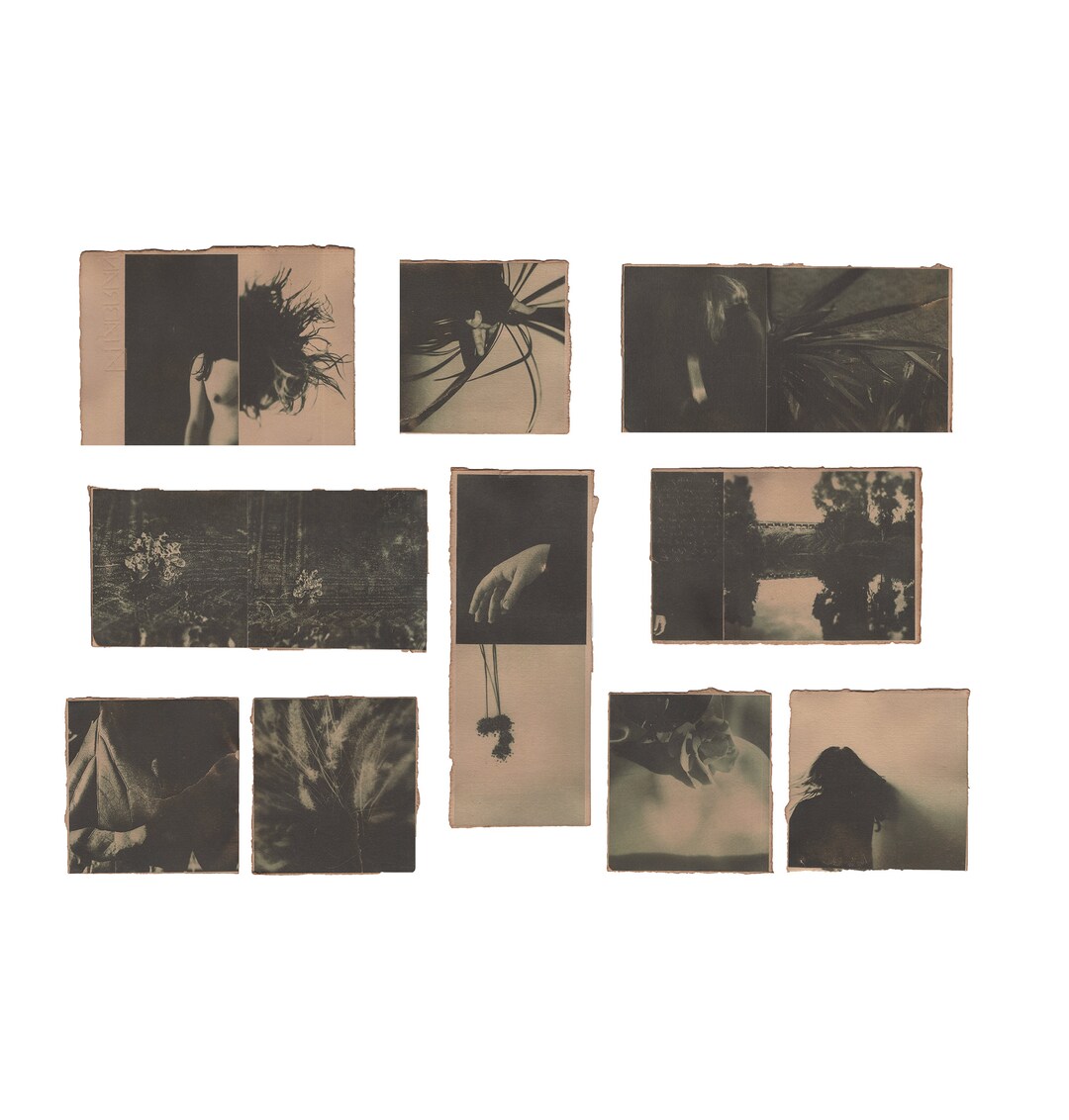 Collection of Ten, Collage Photography, Alternative Photo Process, Hand ...