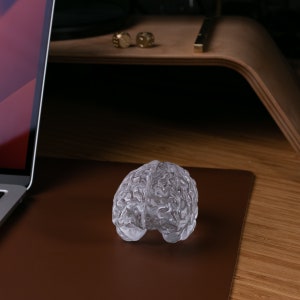 Glass Brain Sculpture / Anatomy Art / Glass Brain Figurine / Glass ...