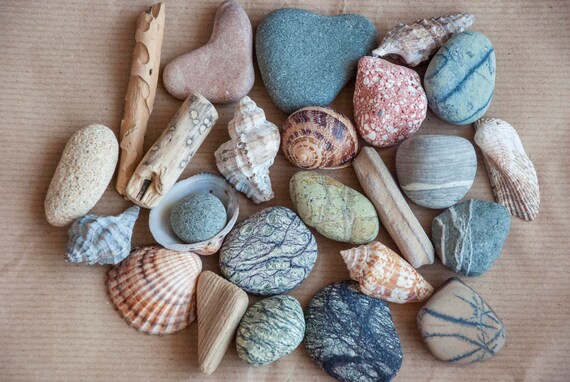 Cyprus BEACH MIX pebbles driftwood shells heart shaped | Etsy