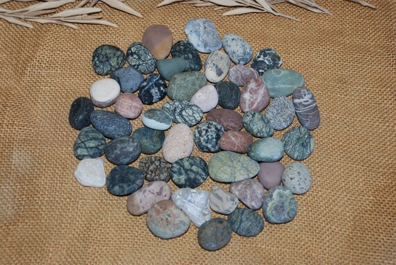 Set of Cyprus Stones for Decor Sea Pebbles Table Potpourri - Etsy