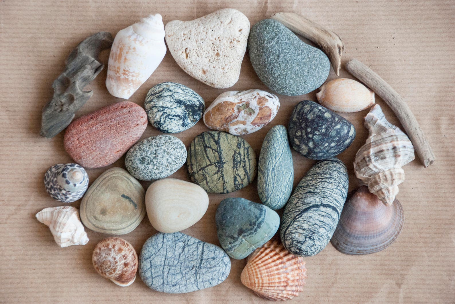 Cyprus BEACH MIX Pebbles Driftwood Shells Heart Shaped | Etsy