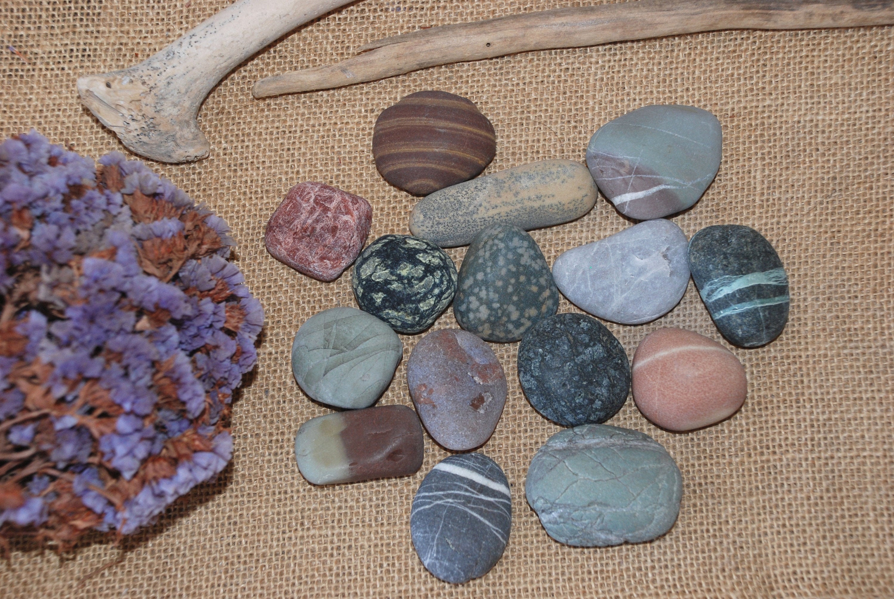 15 Cyprus Stones For Decor sea pebbles table potpourri zen | Etsy