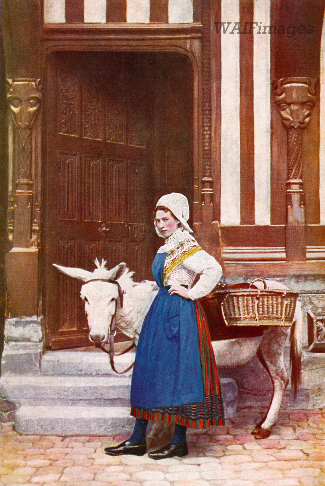 A Lady and Donkey Not to Be Messed With - a 1920s Coloured Photo From ...