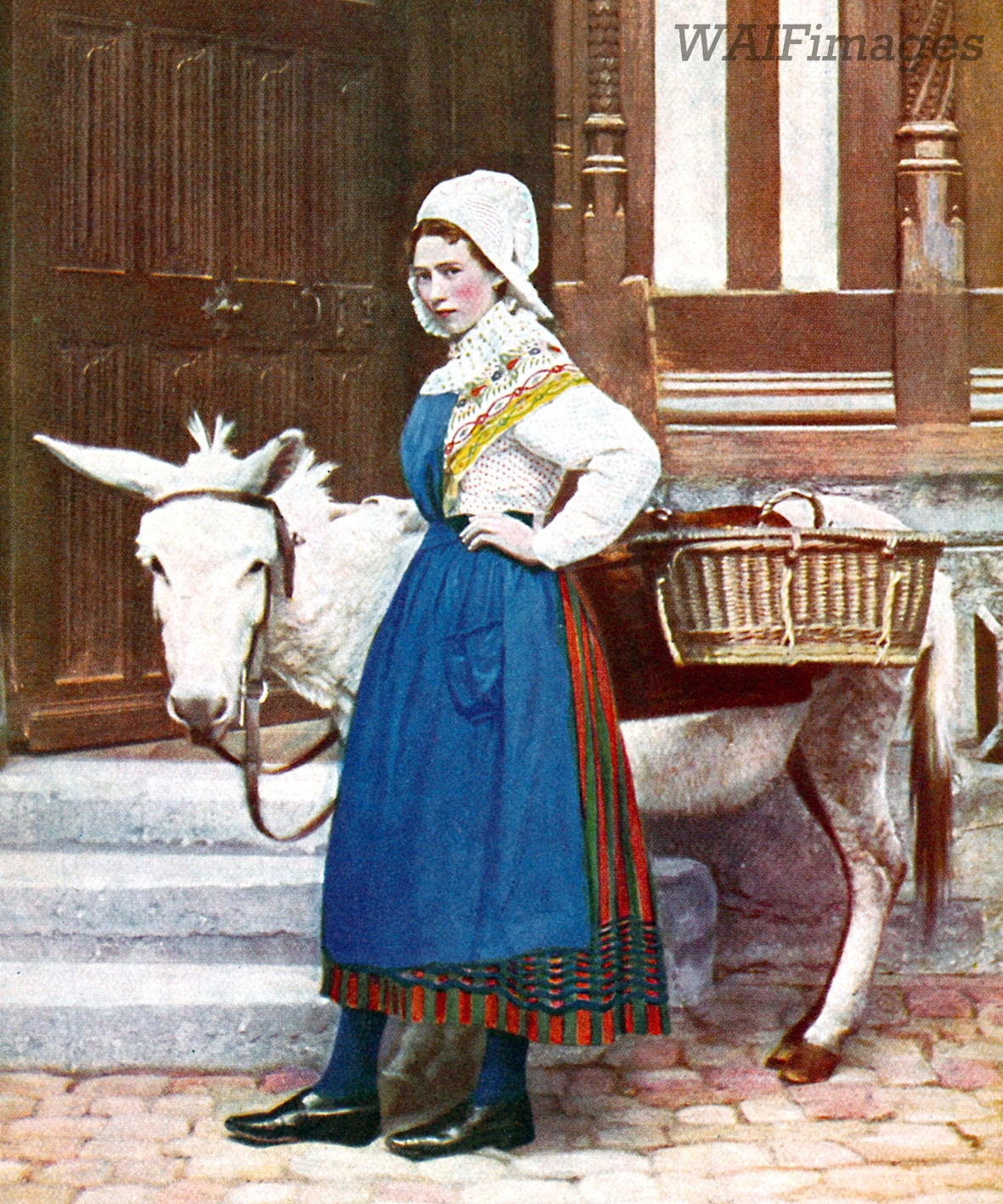 A Lady and Donkey Not to Be Messed With - a 1920s Coloured Photo From ...