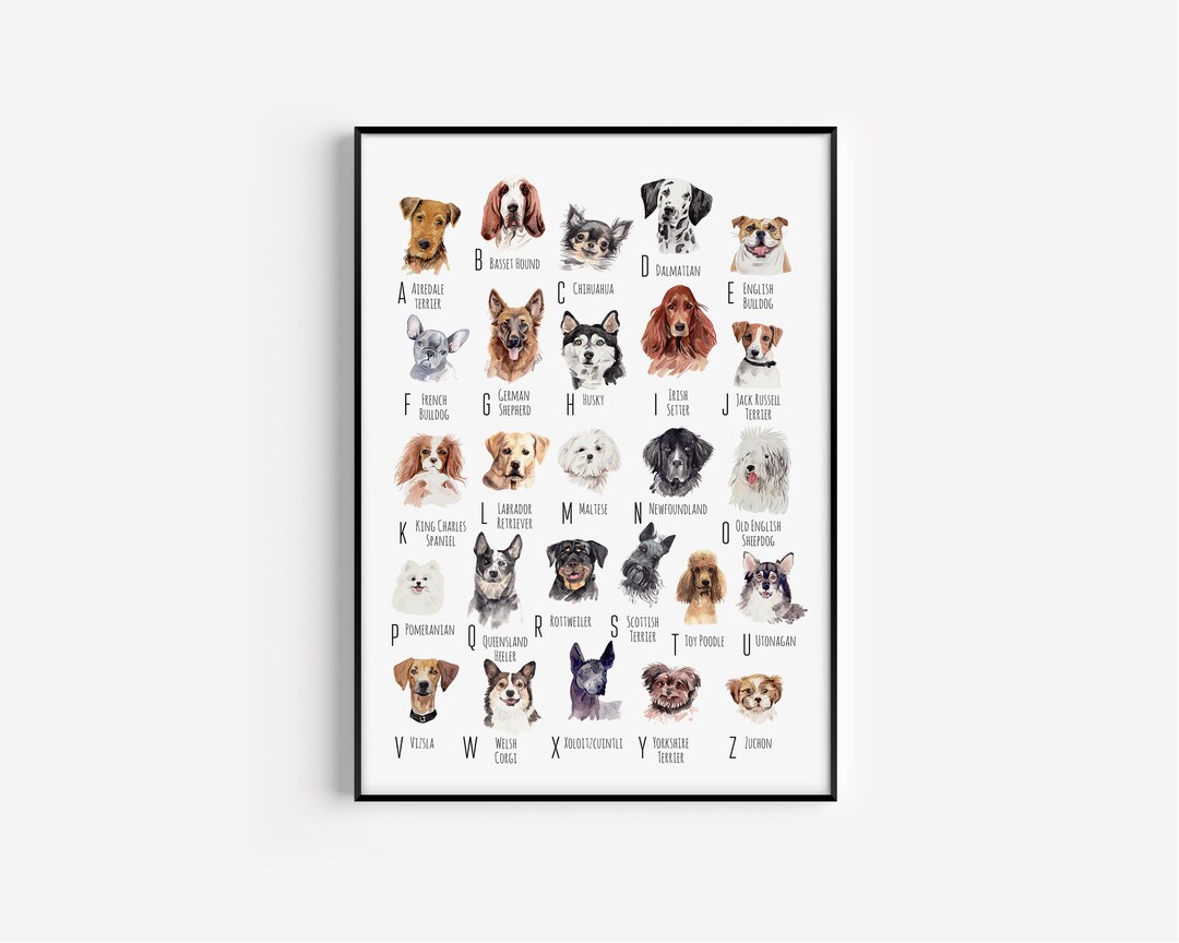 A-Z of Dogs Print, Dogs Alphabet, Dog Print Illustration, Pet ...