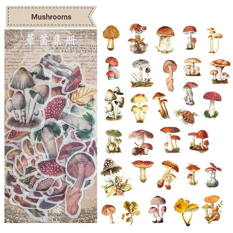 Vintage Transparent Stickers 60 Pack of Stickers Bujo Bujo - Etsy