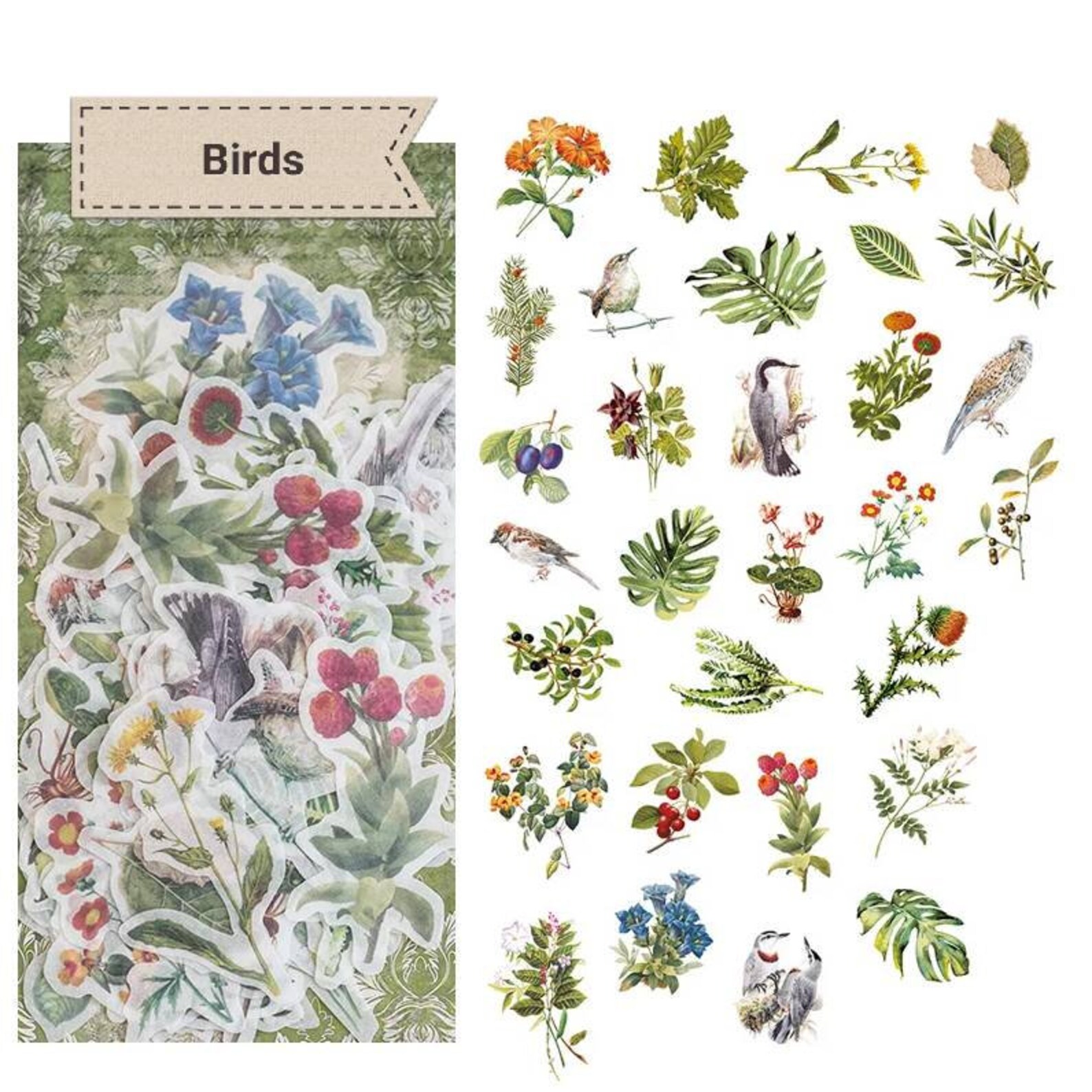 Vintage Transparent Stickers 60 Pack of Stickers Bujo Bujo - Etsy