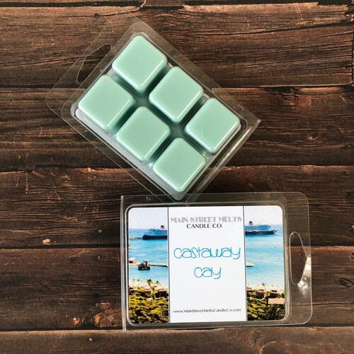 Hundred Acre Wood Soy Wax Melts Disney Inspired Candle Etsy 1746