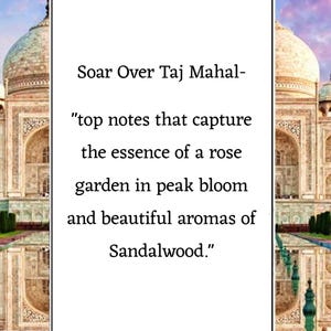 Soar Over Taj Mahal Room Spray - Disney Inspired Scent - 4oz Fragrance ...