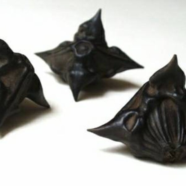 Devil Pods - Etsy