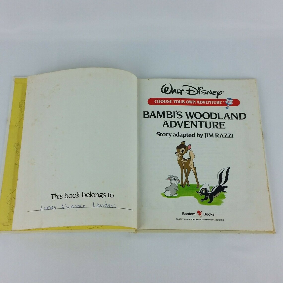 Bambi's Woodland Adventure Walt Disney Choose Your Own Adventure 1987 ...