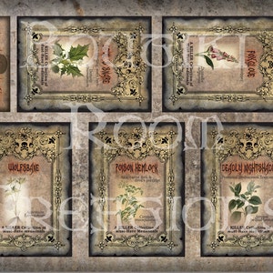 Apothecary Potion Labels - Poisonous Plants - Etsy