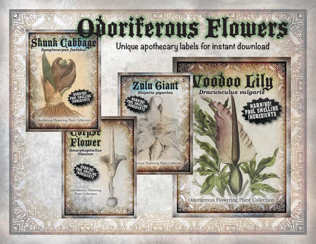 Apothecary Potion Labels - Odoriferous Flowers - Etsy