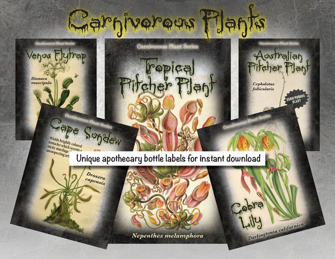 Apothecary Potion Bottle Labels - Carnivorous Plants - Etsy