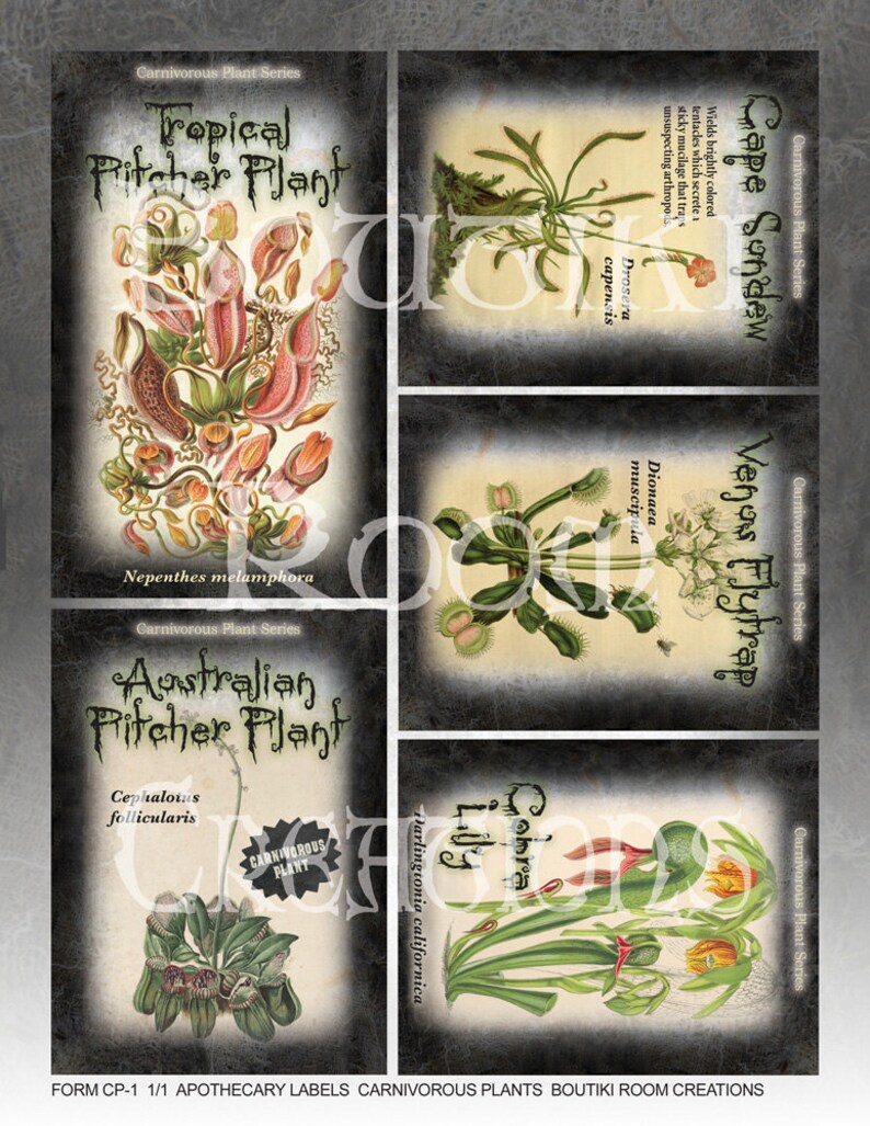 Apothecary Potion Bottle Labels - Carnivorous Plants - Etsy