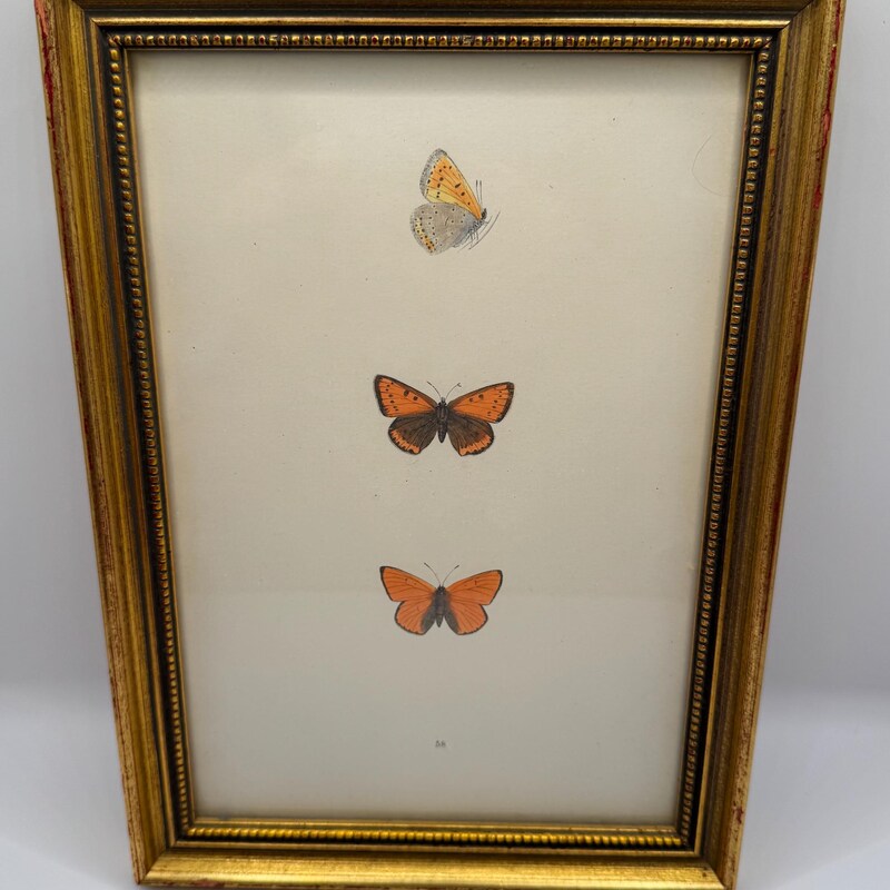 Butterfly Lithograph - Etsy