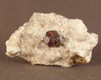 Namibian Natural Red Pyrope Garnet in Quartz Specimen 46mm | Etsy