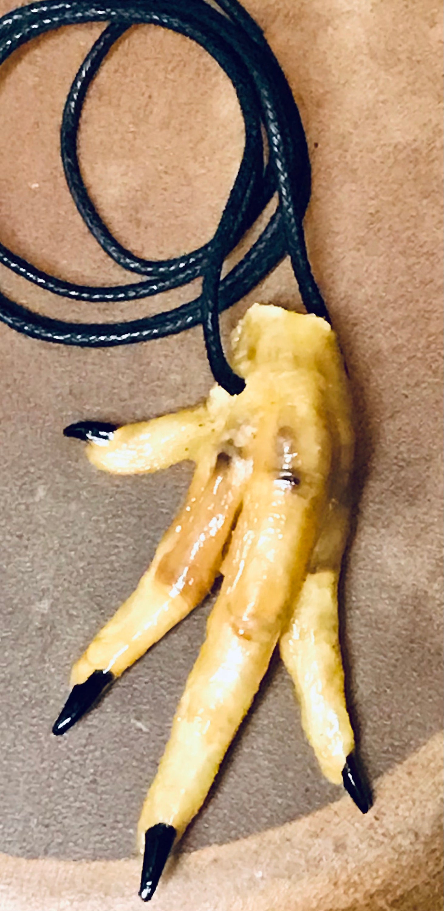 Voodoo Chicken Foot Amulet New Orleans Louisianna Cajun Voodoo Magic ...