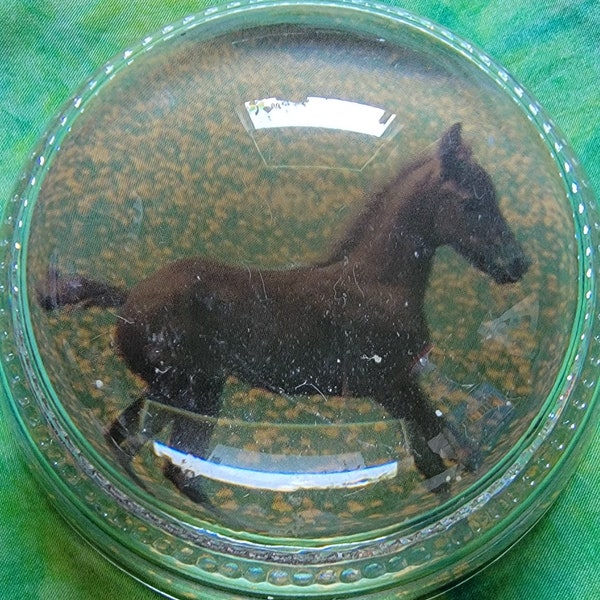 Dome Paperweight - Etsy