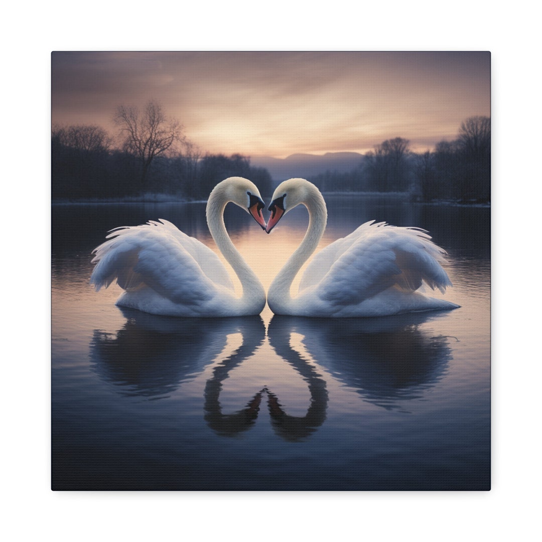 Swans Paired for Life Deeply Connected Lovers Dancing Serenely on ...