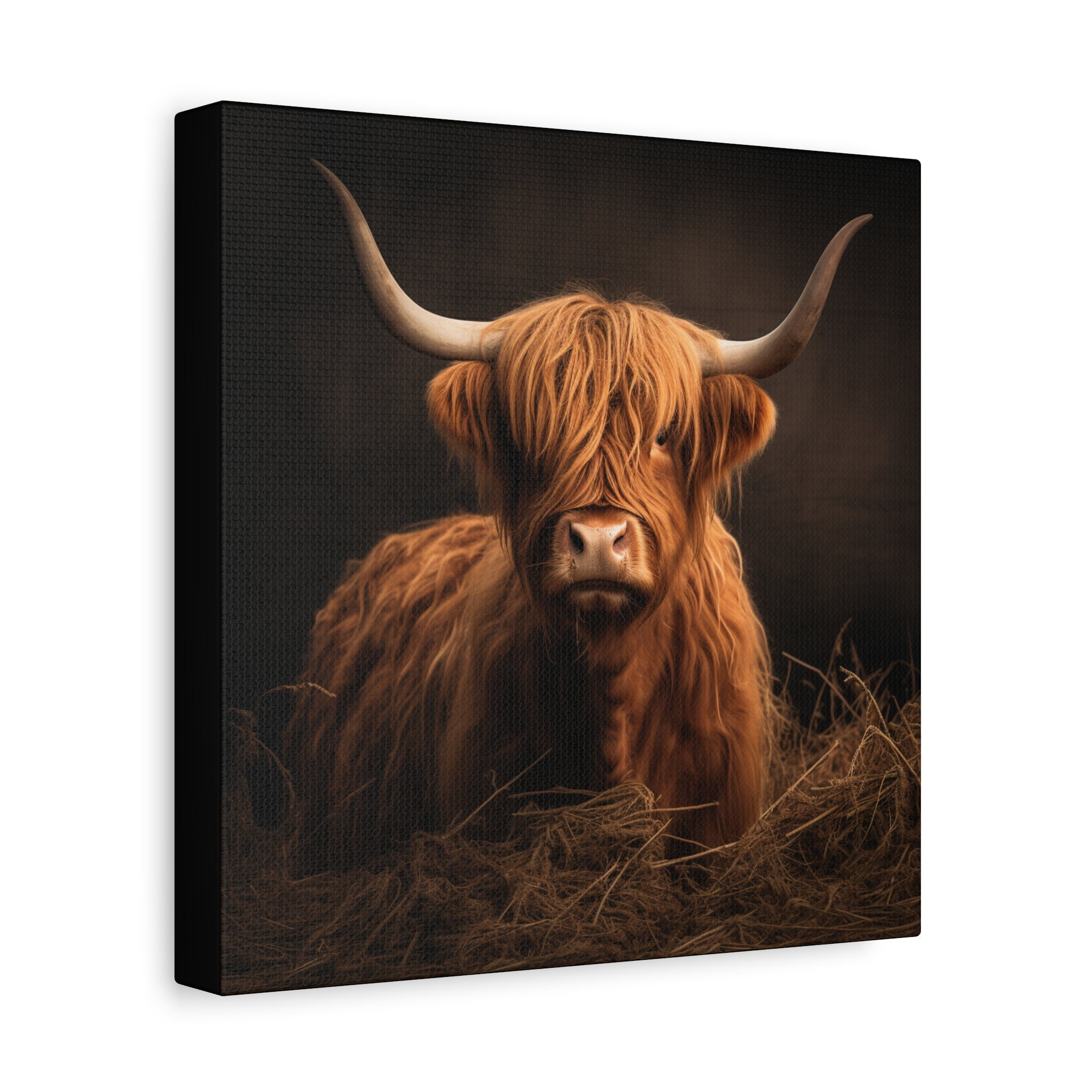 Highland Cow Canvas - Etsy