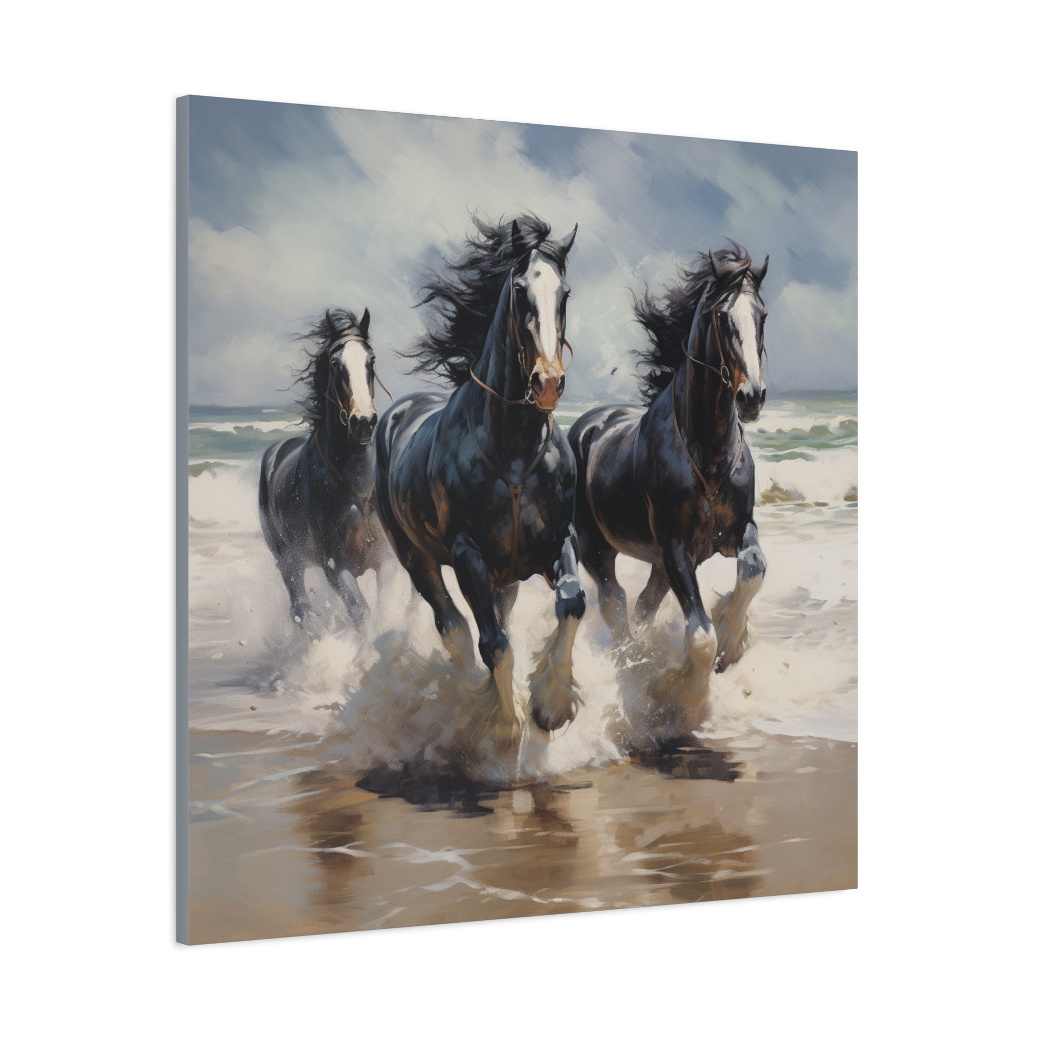 Beautiful Free Galloping Heavy Draft Shire Horses Splashing Through ...